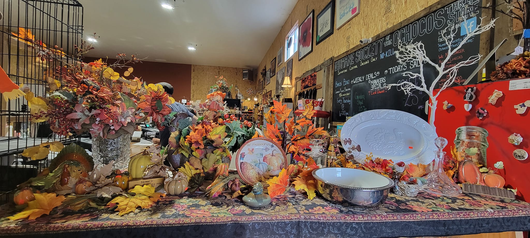 Thrift Store – Humane Society of the Ochocos