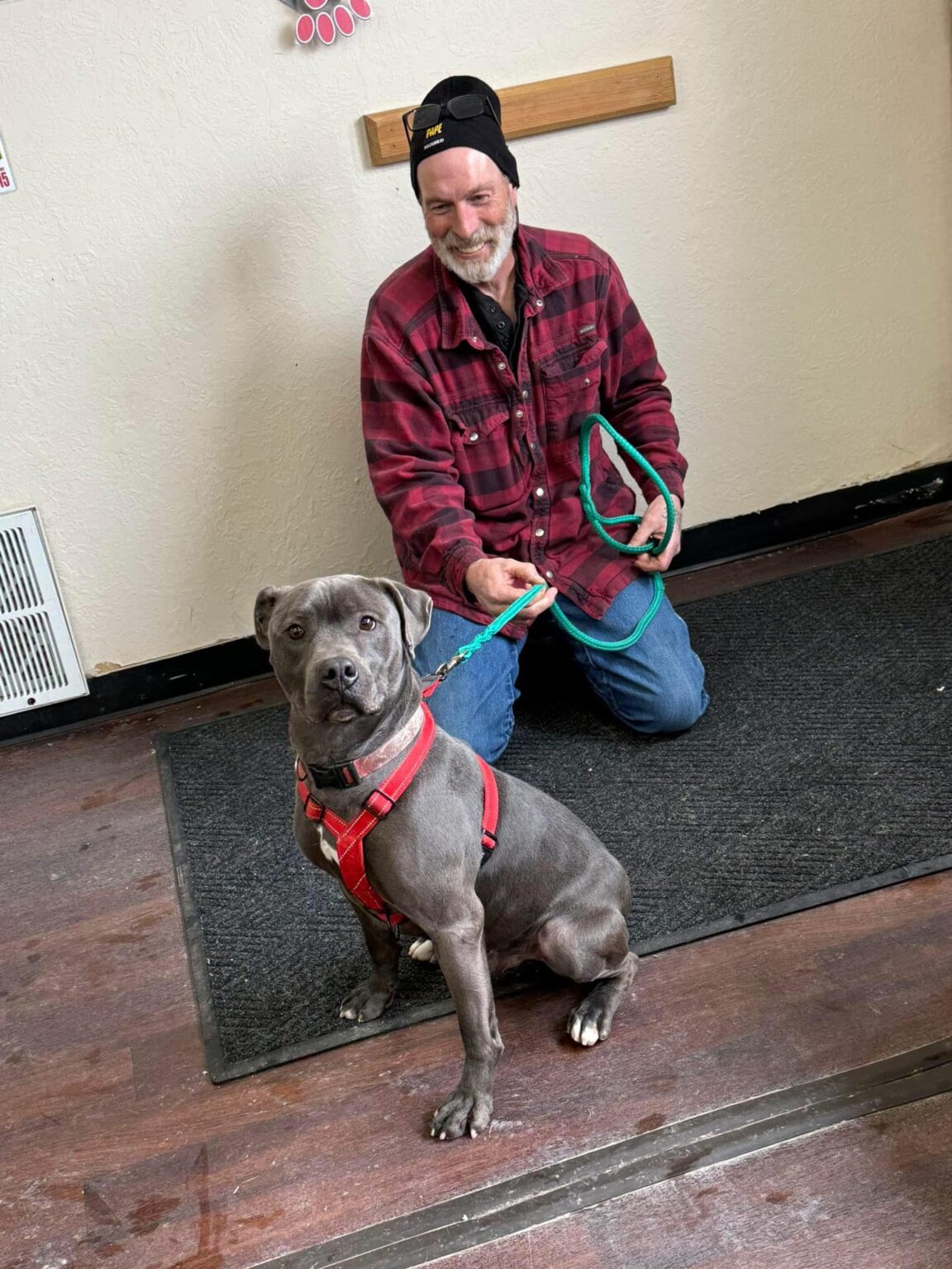 New program for shelter dogs! – Humane Society of the Ochocos